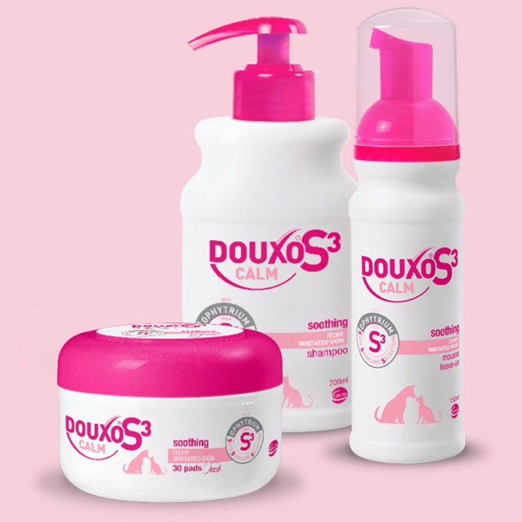 Douxo® S3 Solutions – Advanced Pet Skincare for both dogs and cats