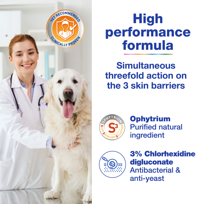 DOUXO S3 PYO Shampoo – Treatment for Skin Infections in Dogs and Cats