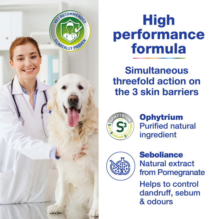 DOUXO S3 SEB Shampoo | Seborrhea & Flaky Skin Treatment for Dog & Cat