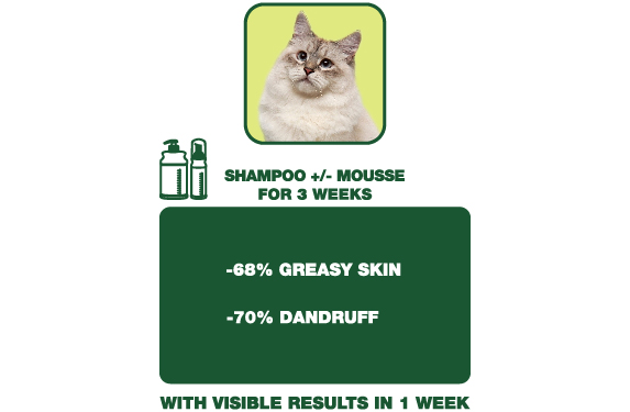 DOUXO S3 SEB Shampoo | Seborrhea & Flaky Skin Treatment for Dog & Cat