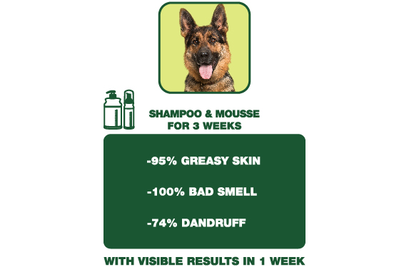 DOUXO S3 SEB Shampoo | Seborrhea & Flaky Skin Treatment for Dog & Cat